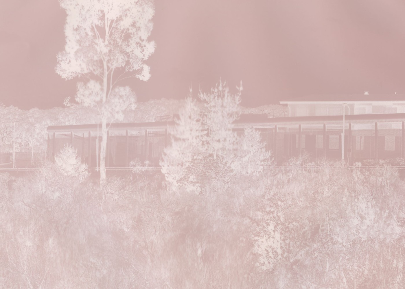 Castlemaine Art Museum | Orbit: Tara Gilbee - Ellipses