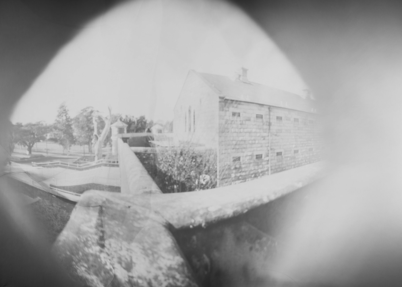 Castlemaine Art Museum | Orbit: Tara Gilbee - Ellipses