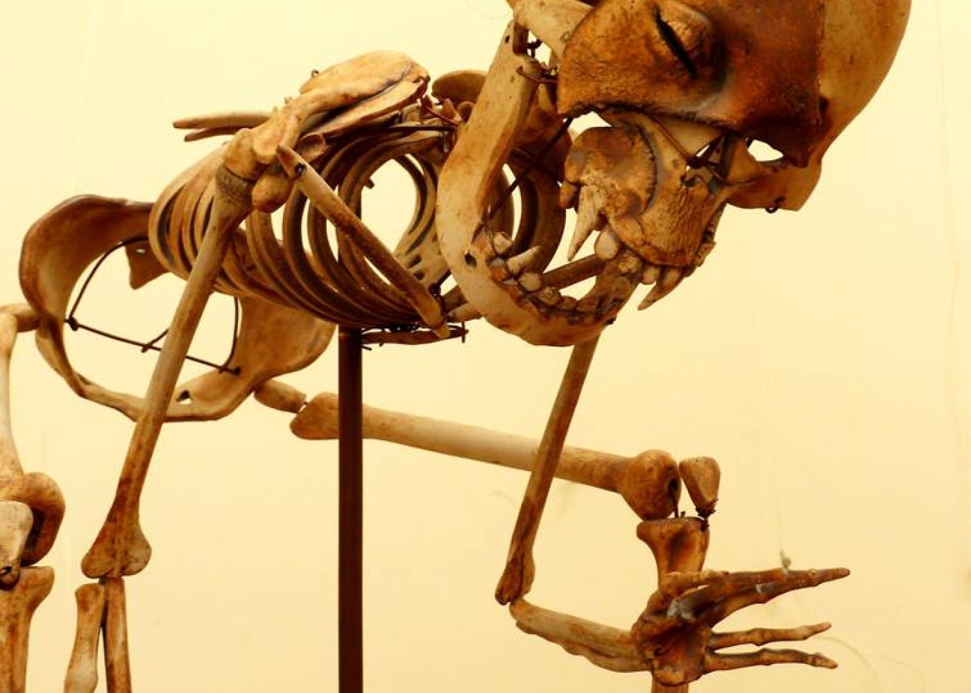 Castlemaine Art Museum | Ray Pearce: Bite